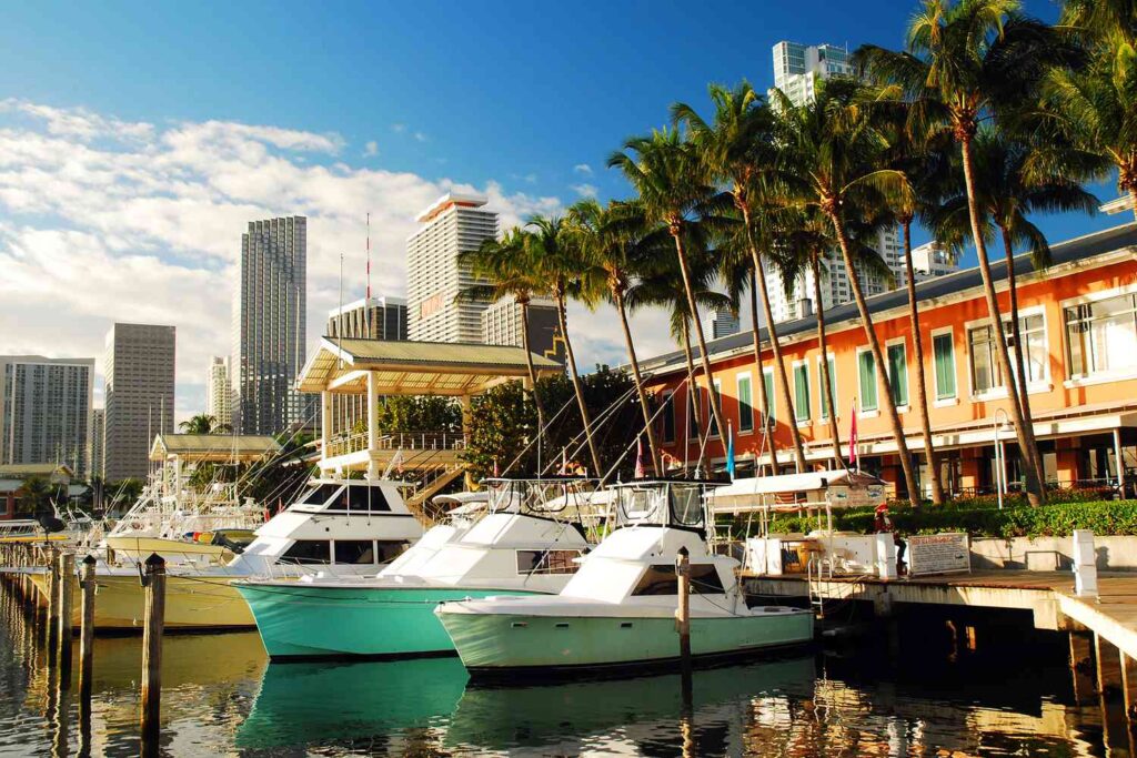 El auge de la cirugía plástica en Miami - Blog Aram Clinic